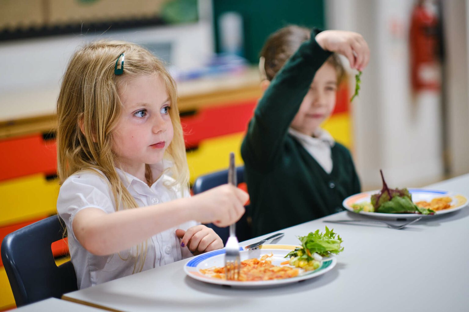 Governance - Hillocks Primary Academy